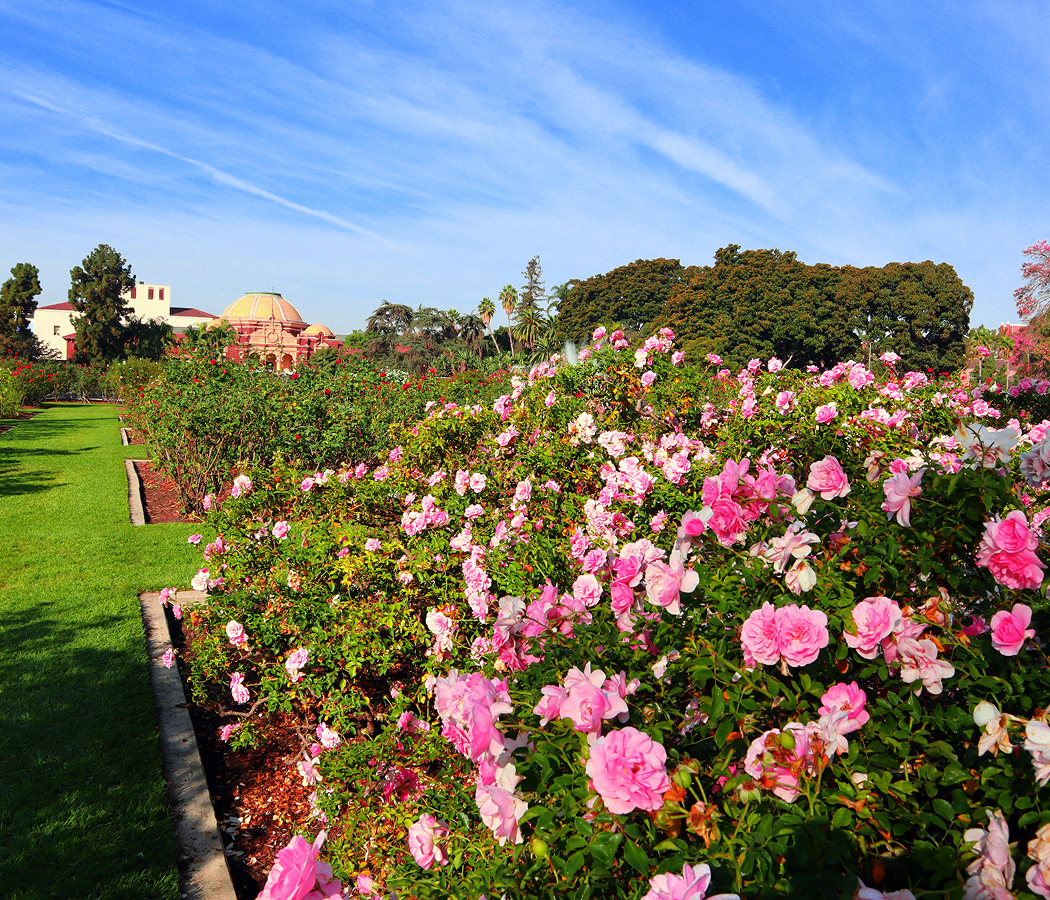 Why The Lab Gastropub dines elegant