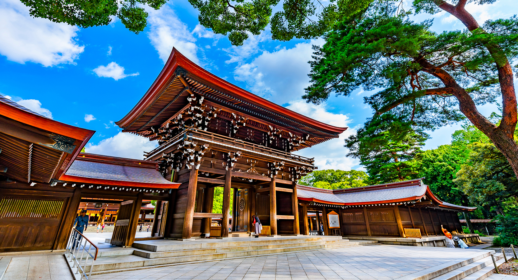 Why Meiji Shrine holds Tokyo’s calm - Foresyte Travel