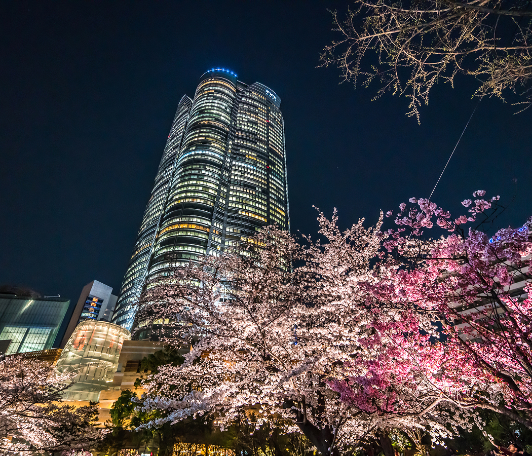 Why Roppongi Hills is the vertical city - Foresyte Travel