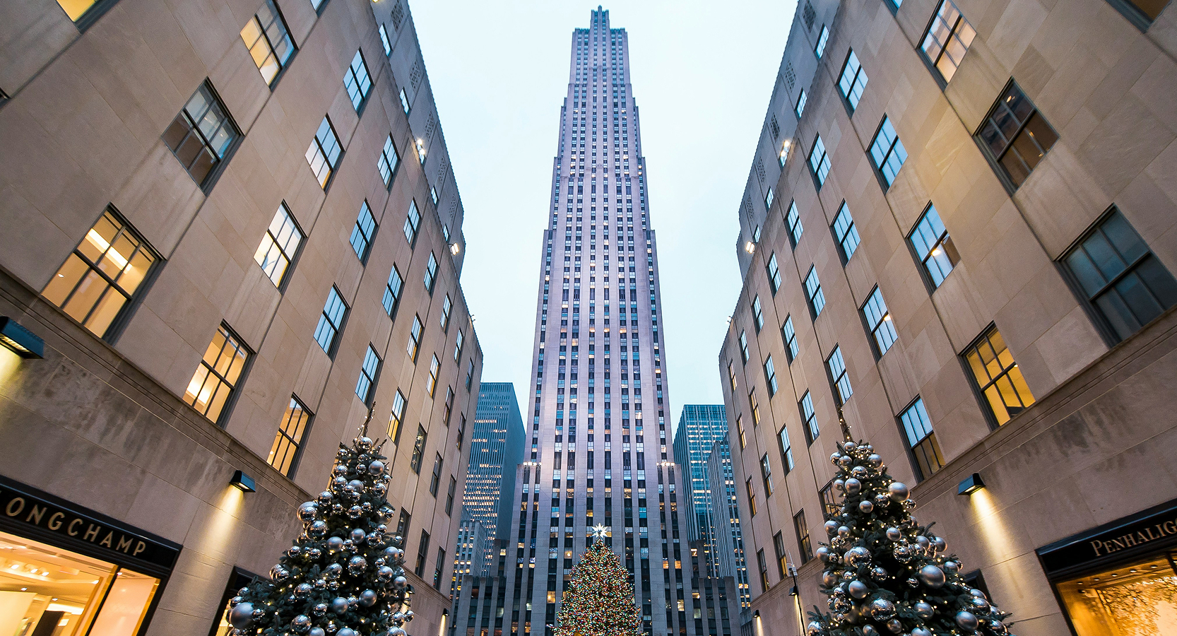 Why Rockefeller Tree shines pure - Foresyte Travel