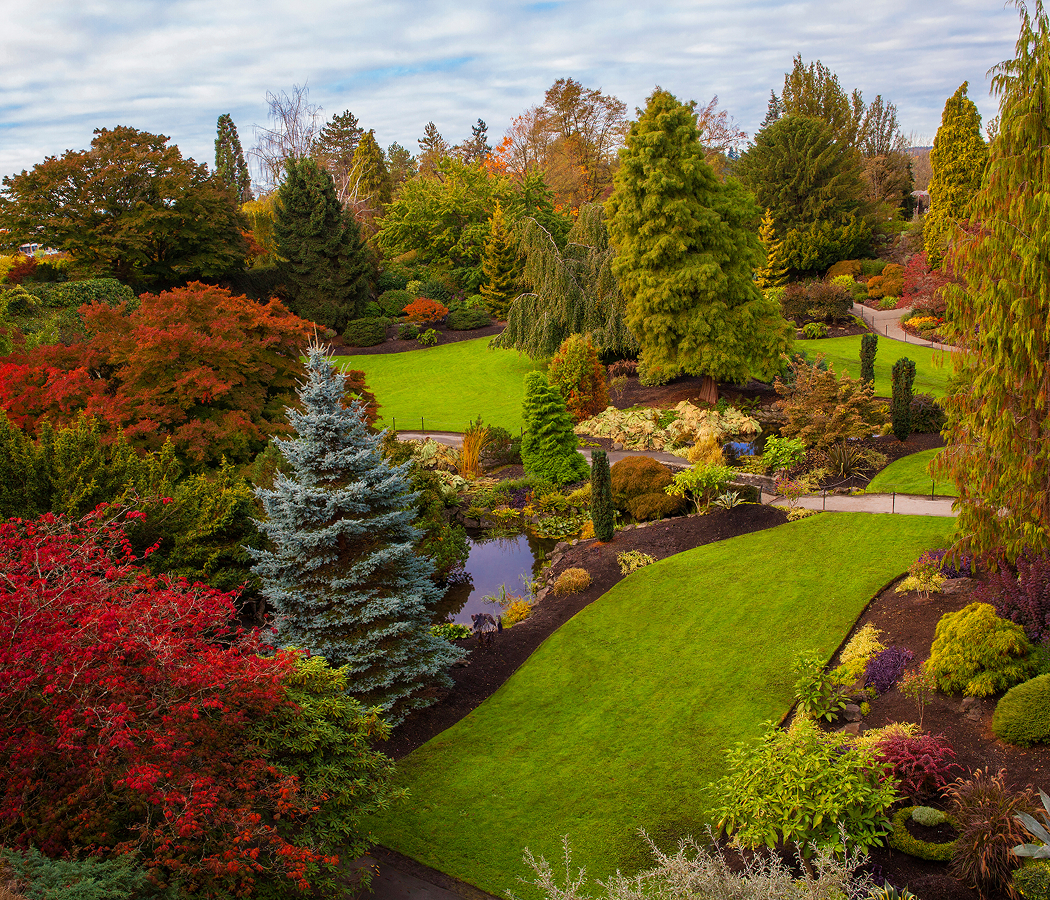 Queen Elizabeth Quarry Gardens