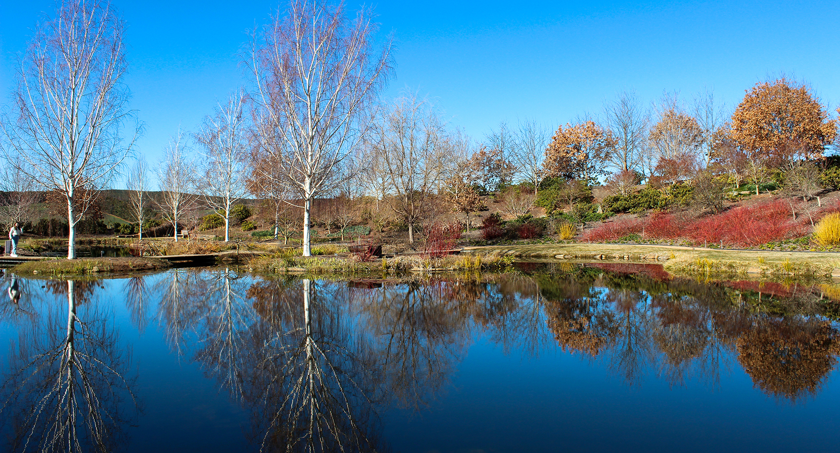 Mayfield Park and Nature Preserve