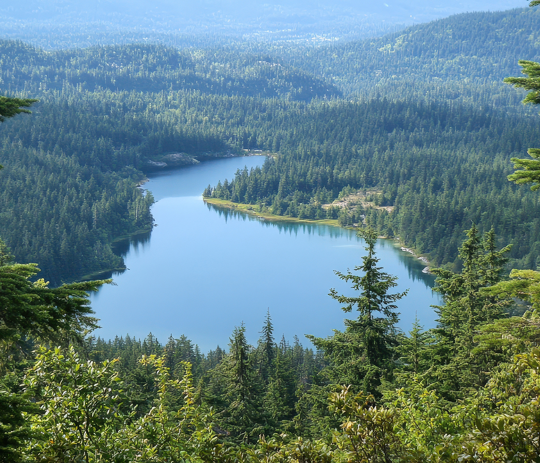 Why Cheakamus Lake winds open - Foresyte Travel