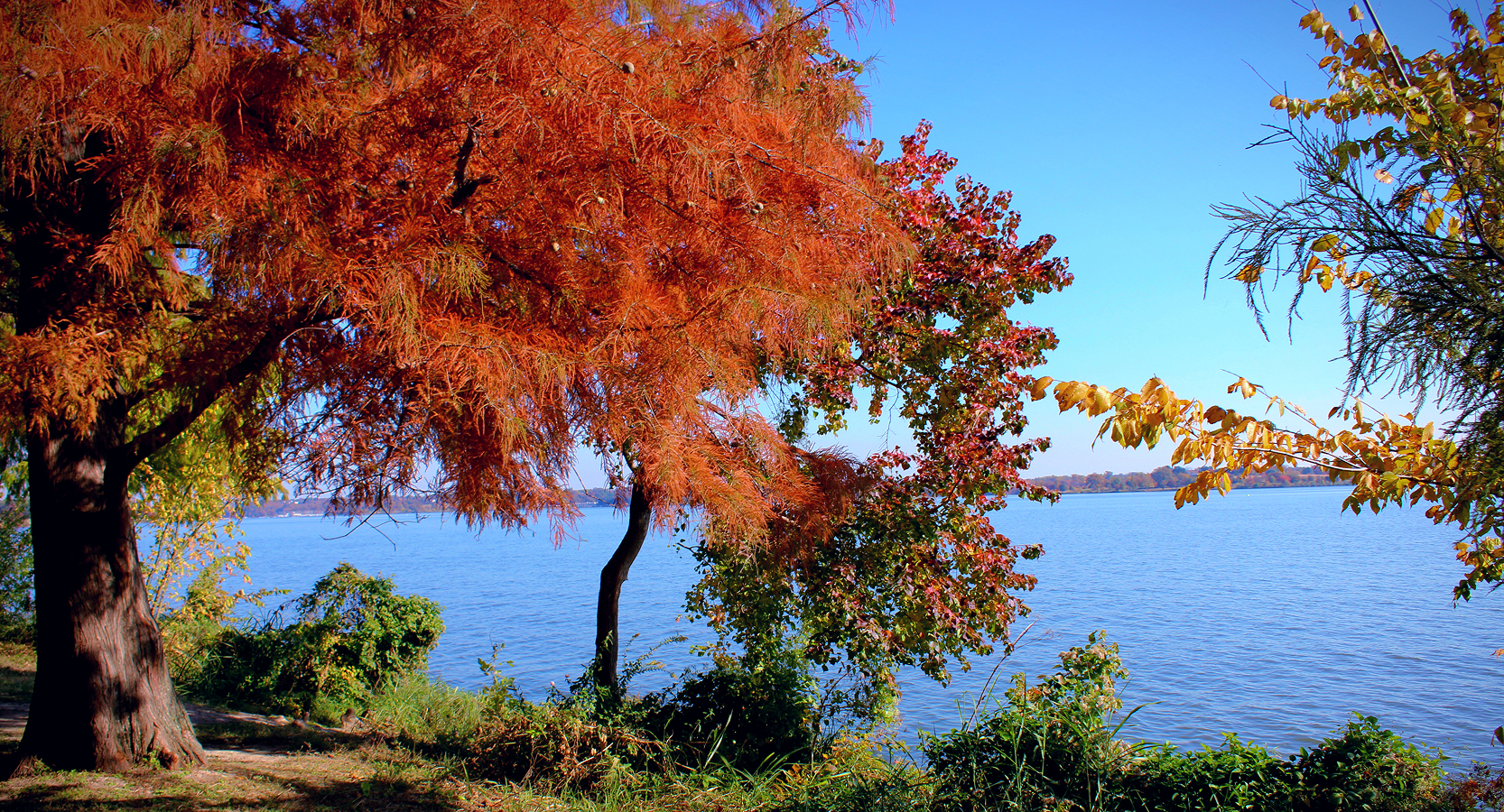 White Rock Lake Park