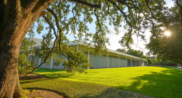 Menil Drawing Institute