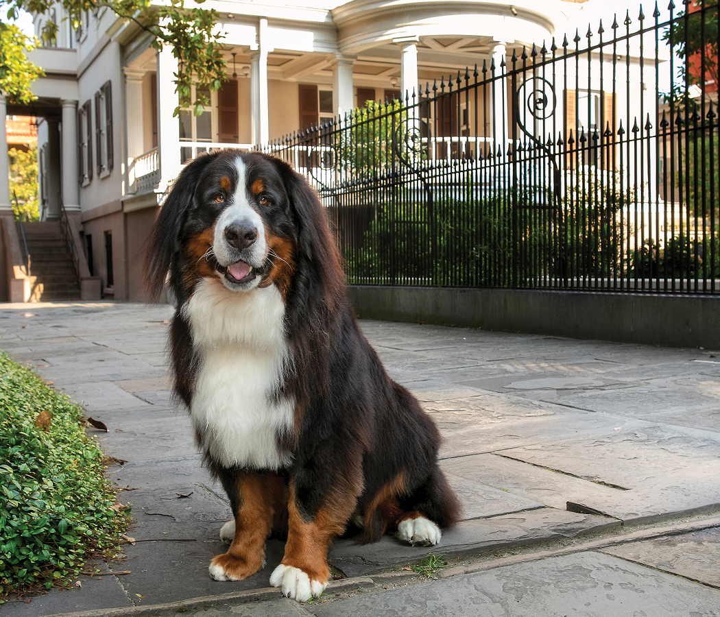 Juliette Gordon Low Birthplace Museum