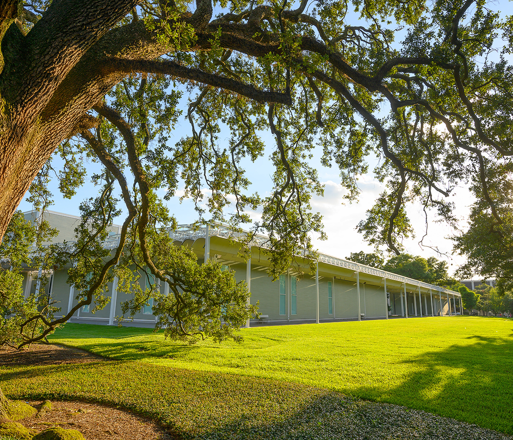Menil Drawing Institute
