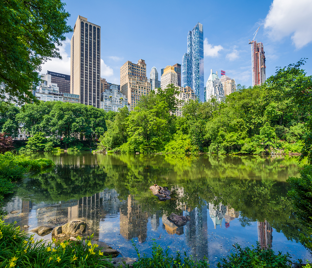 Why The Ritz-Carlton New York, Central Park stands iconic - Foresyte Travel