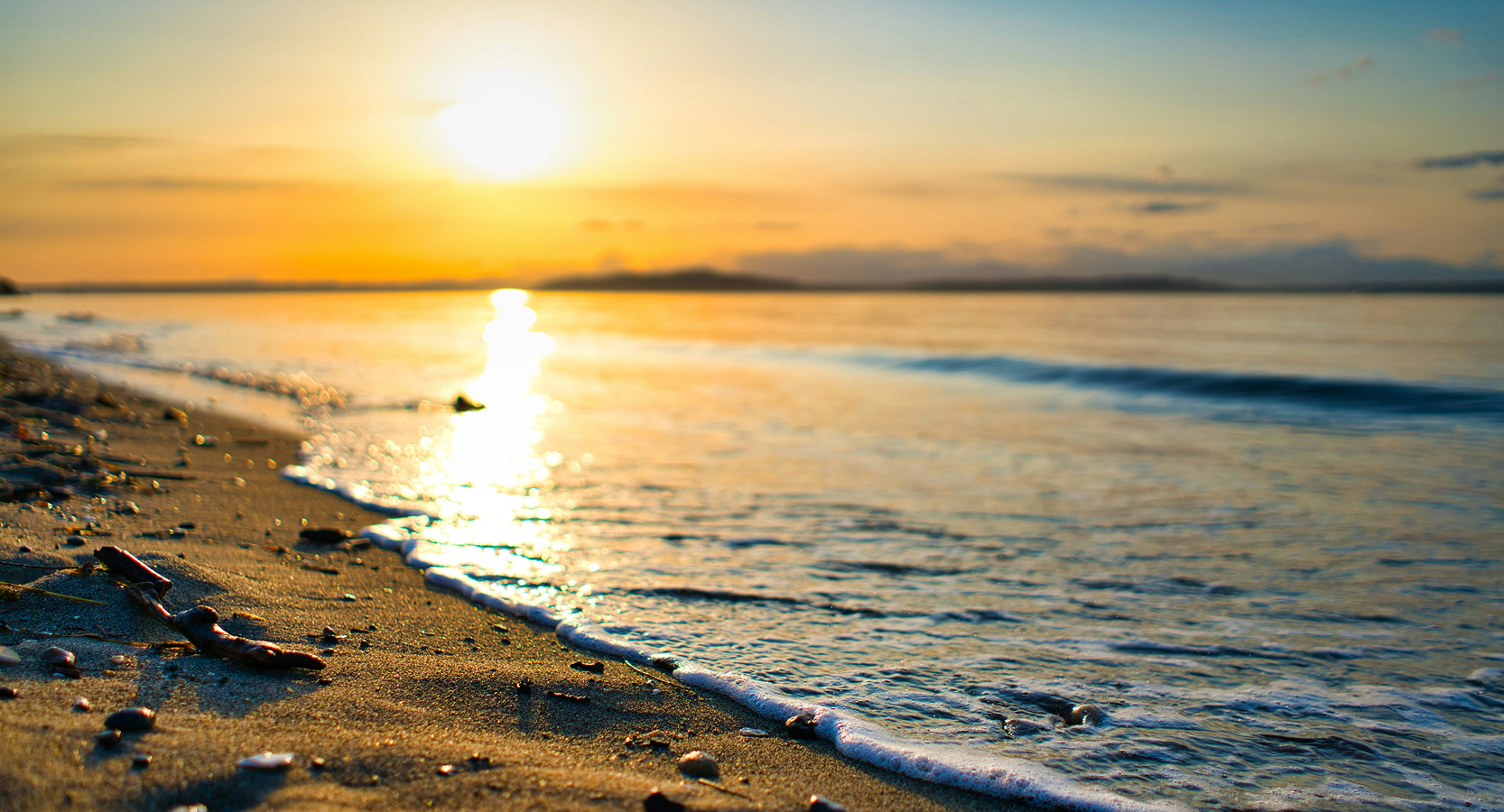 Why Alki Beach beams golden