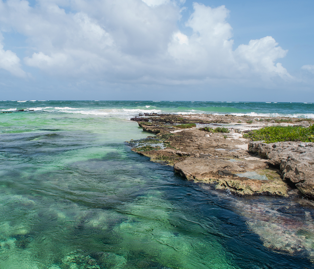 Why Tankah Bay breathes open - Foresyte Travel