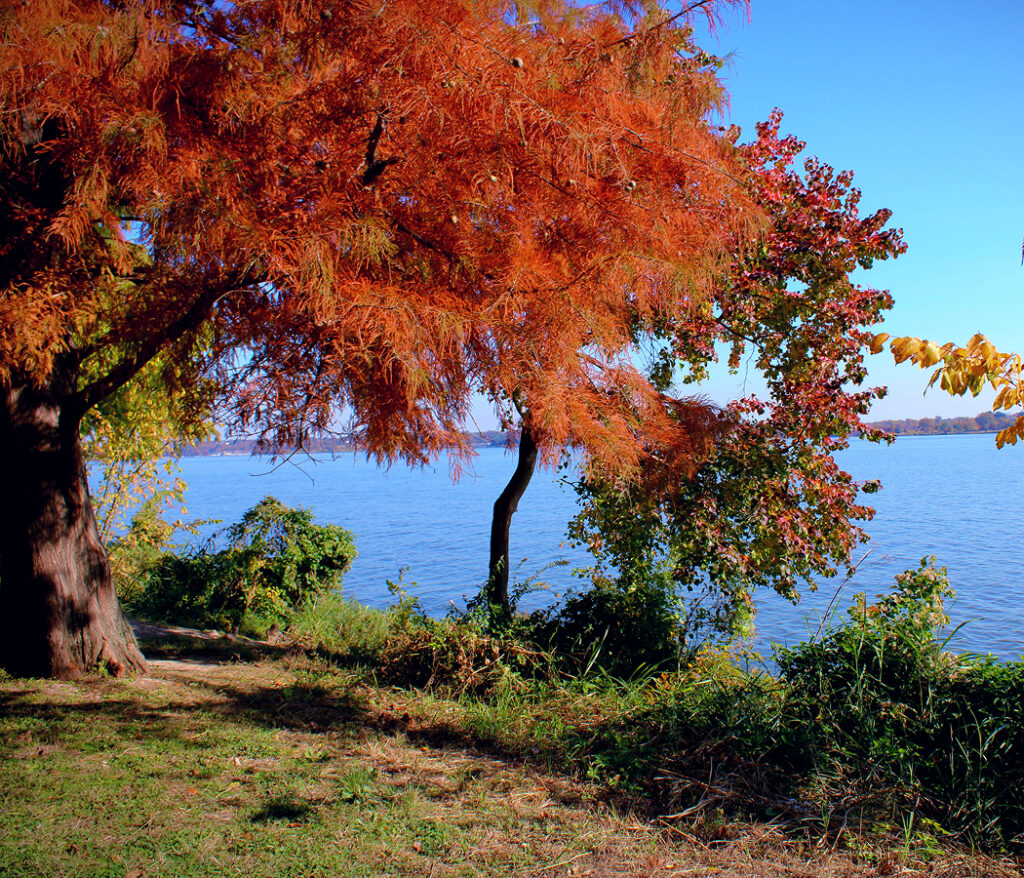 Why White Rock Lake ripples free - Foresyte Travel