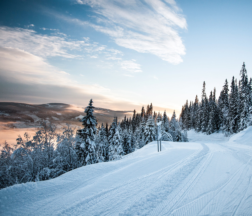 Why Skistar Lodge Trysil stands iconic